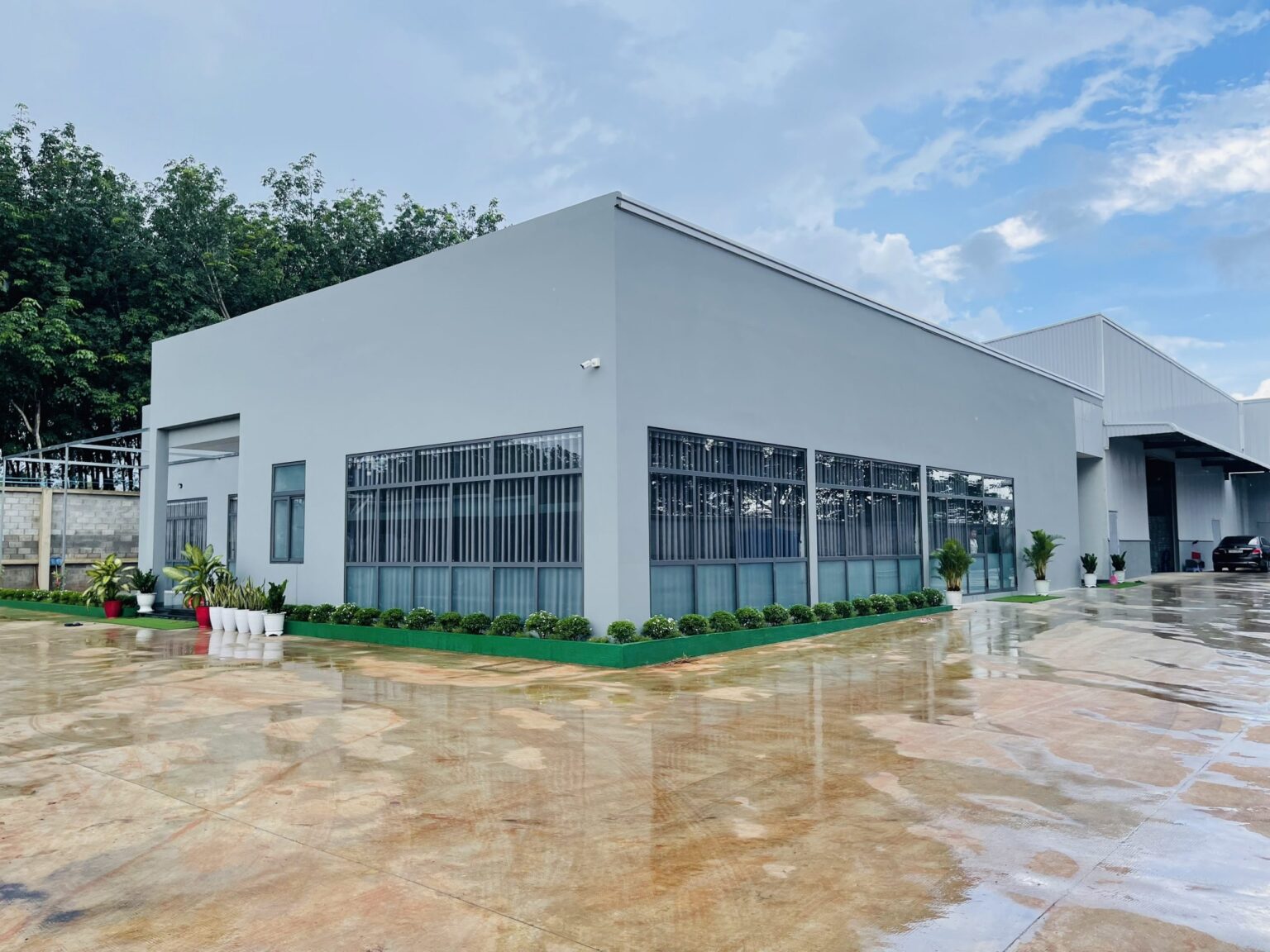 SVC Group | Top 10 Cashew BRC Packers