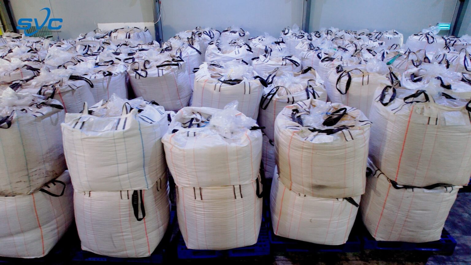 SVC Group | Top 10 Cashew BRC Packers