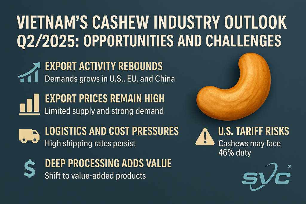 Vietnam’s Cashew Industry Outlook Q2/2025: Opportunities And Challenges ...