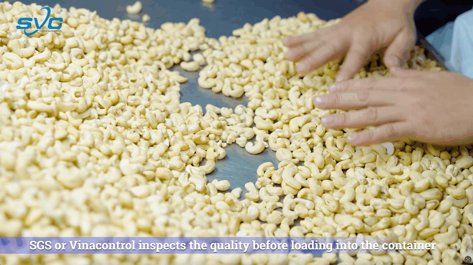 SVC Group | Top 10 Cashew BRC Packers