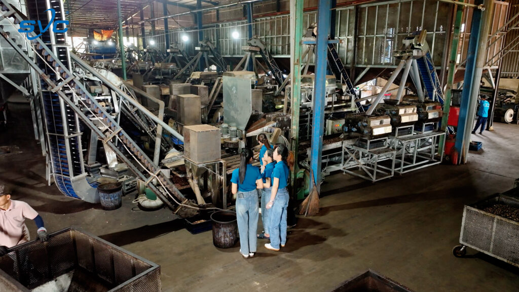 SVC – Certified Cashew Factory In Vietnam For Global Export | SVC Group
