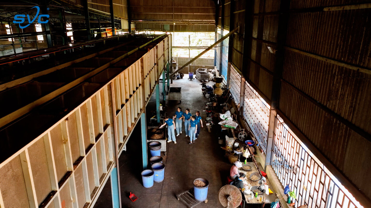 SVC Group | Top 10 Cashew BRC Packers