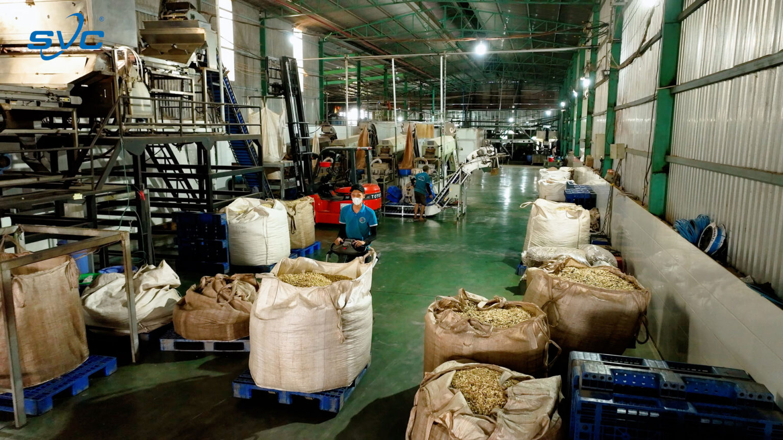 SVC Group | Top 10 Cashew BRC Packers