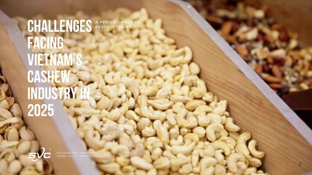 Challenges Facing Vietnam’s Cashew Industry In 2025: A Period Of Harsh ...