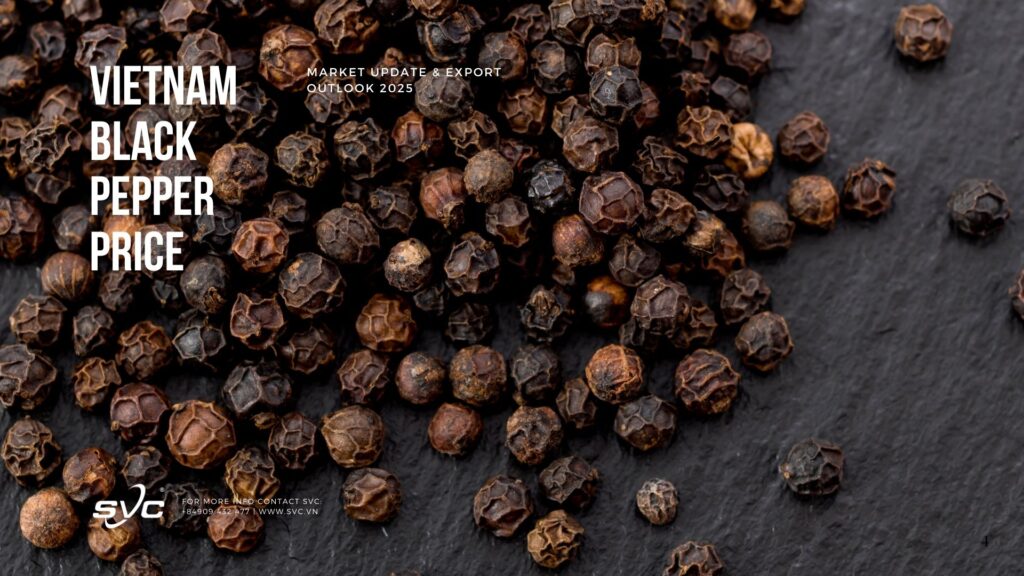 Vietnam Black Pepper Price – Market Update & Export Outlook 2025 | SVC ...