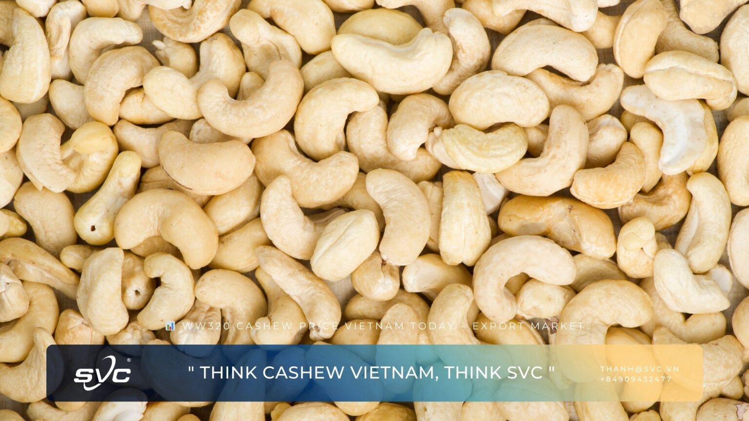 WW320 Cashew Price Vietnam Today – Export Market | SVC Group