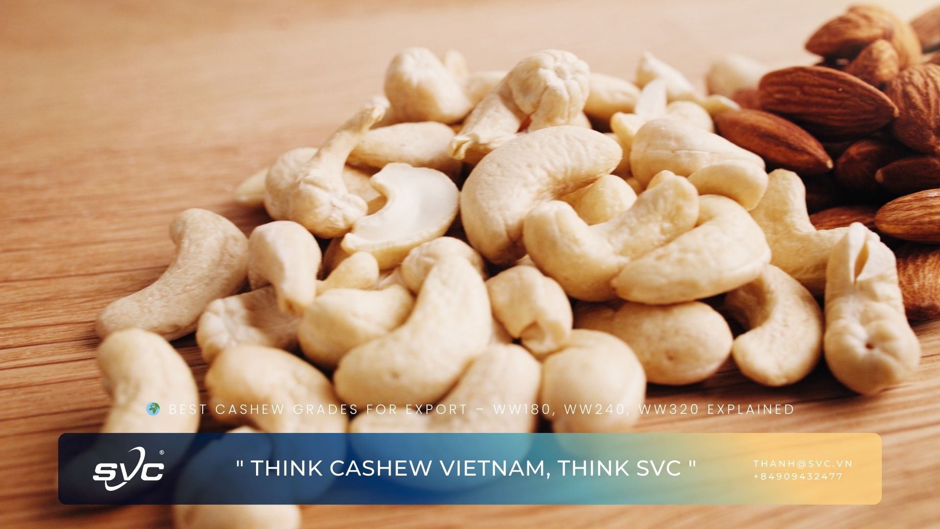 Best Cashew Grades For Export – WW180, WW240, WW320 Explained | SVC Group